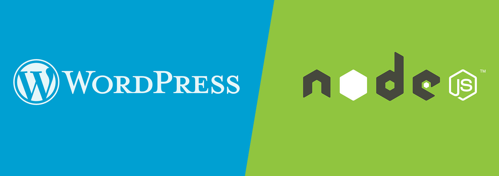 Wordpress With Node React And Graphql — Part 1 Introduction Sketchbook